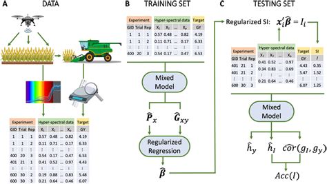 Prediction Of The Genetic Merit For Grain Yield Using Hyper Spectral Download Scientific