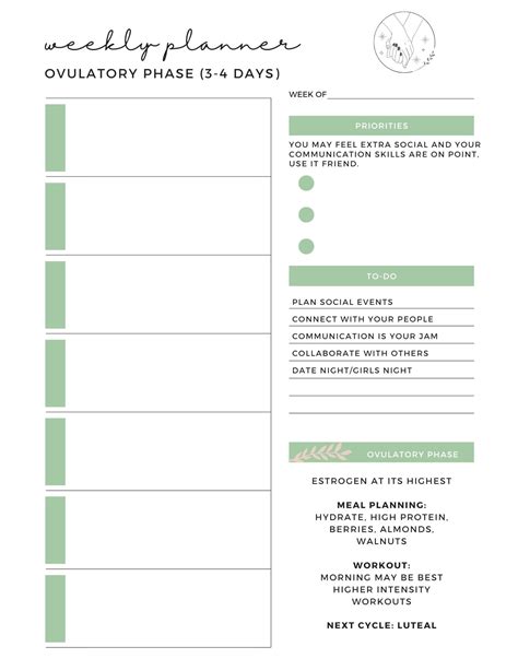 Cycle Syncing Guide Planner Etsy