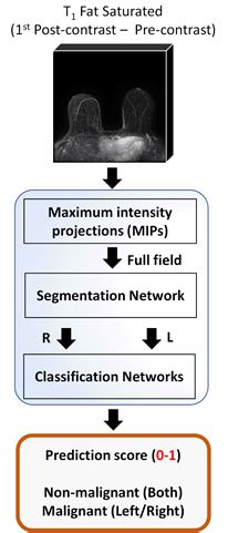 GitHub Arka Bhowmik Mri Triage Normal Deep Learning Breast MRI Segmentation And Classification