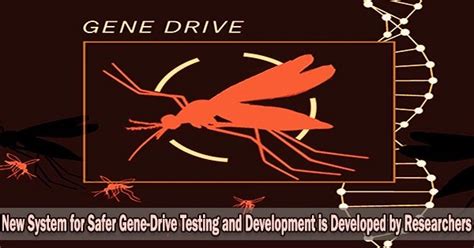 New System For Safer Gene Drive Testing And Development Is Developed By Researchers Qs Papers