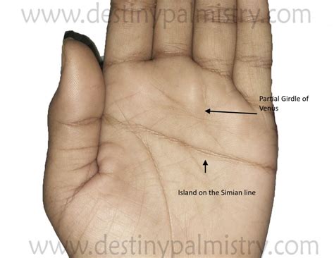 Double Simian Or One Simian Line On The Palm Artofit