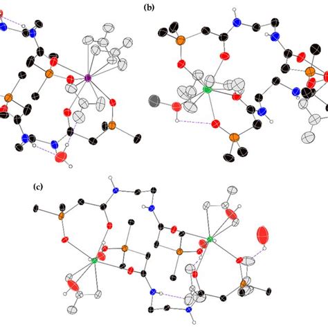 X Ray Crystal Structures Of The 22 Complexes Between Download