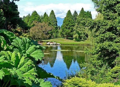 Van Dusen Gardens Vancouver Vandusen Botanical Garden 2025 All You