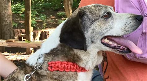 ПОЛТАВСЬКЕ КОМУНАЛЬНЕ АТП №1628