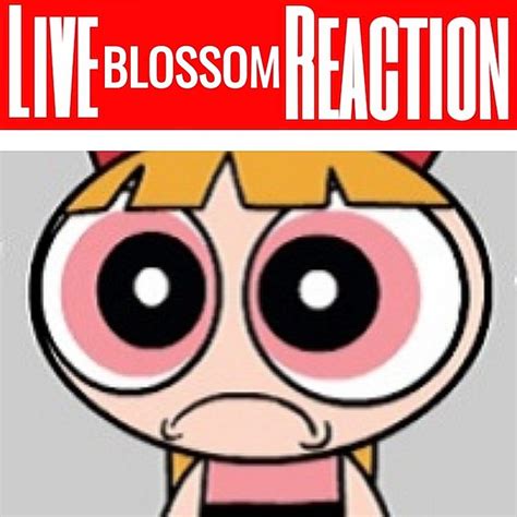 People Rarely Post Memes On This Subreddit Rpowerpuffgirls