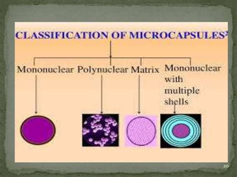 Micro Encapsulation Ppt Ppt