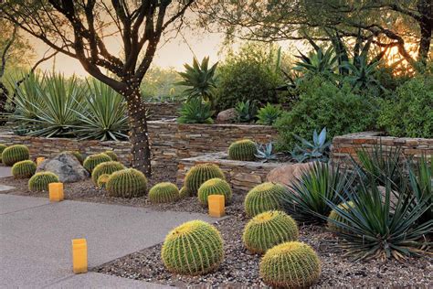 19 Desert Landscape Garden Ideas You Cannot Miss Sharonsable