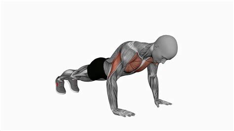 Clock Push Ups A Step By Step Guide For Beginners 1000 FREE