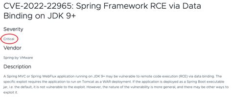 疯了Spring 再爆惊天大漏洞 Java技术栈
