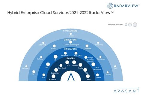 Hybrid Cloud From Optimization To Automation Avasant
