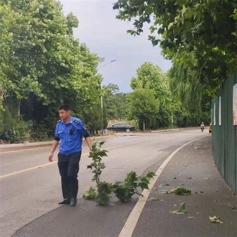 【仲宫】仲宫街道积极应对极端天气，维护辖区环境安全整洁 管理科 保障 事故