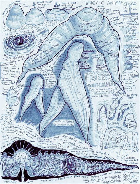 Fresno Nightcrawlers By Kway100 On Deviantart