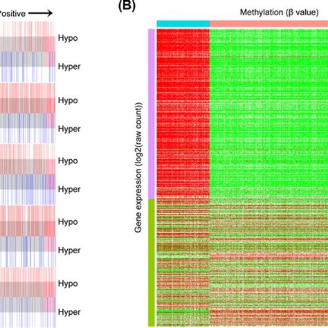Cis And Trans Regulation Analysis Based On Cpgs β Value And Mrna