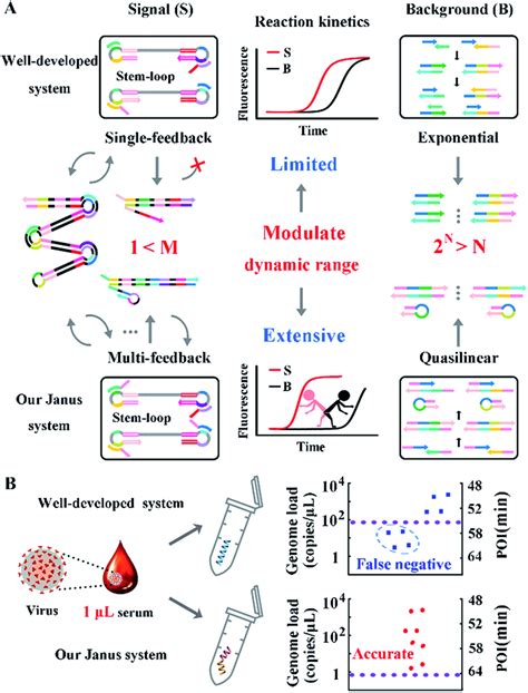 A Schematic Illustration Of Engineered Janus Probes To Modulate