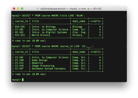 Что должен знать каждый разработчик Python 8 основных технологий статья на Itproger