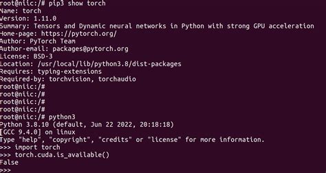 Nvidia Contianer L4t Pytorchr3510 Pth111 Py3 Running On Jetson Agx