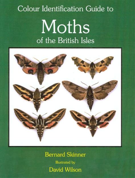Moth Identification Guide By Color Species Spotlight Cecropia Moth
