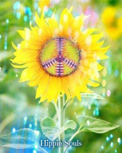 Sunflower Peace Man ☮ Peace Love Happiness Peace Sign Art Peace And