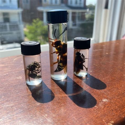 Custom Nintendo Nes Controller Nintendo Nes Controller Mint Green Shell