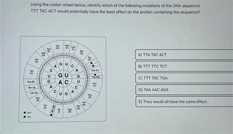 Solved Provide The Abbreviation Of The Following