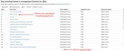 How To Interpret The Bulk RNAseq Report Pipeline Resources