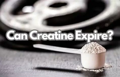 Can Creatine Expire The Gym Goat