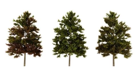 Premium Psd 3d Tree Models Autumn Summer Spring Game Asset