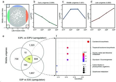 integration analysis of three independent transcriptome datasets a a
