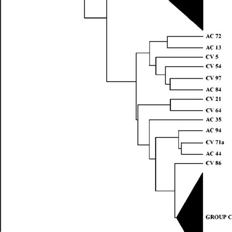 Dendrogram Based On Unweighted Pair Group Average Linkage Of Fame