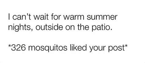 50 Funny Summer Memes To Laugh At While You Pretend To Enjoy Being