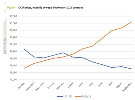 Cocoa Prices Surge To Unprecedented Levels Baking Biscuit