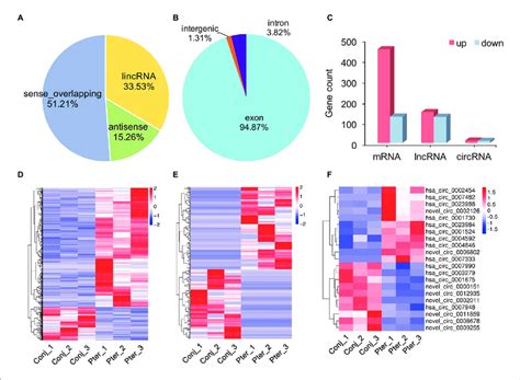 Gene Expression Characterization A The Type And Proportion Of Download Scientific Diagram