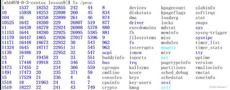 Linux—进程 Pcb 状态 孤儿进程 环境变量 0801 4linux Pcb Csdn博客