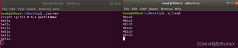 Linux下的网络编程网络基础socket编程一 阿里云开发者社区