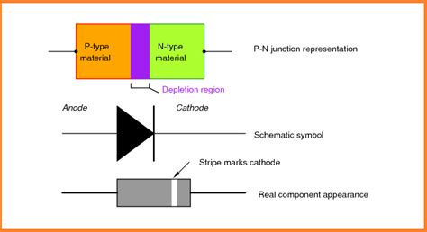 What Is A Diode Basics Types Symbols Characteristics