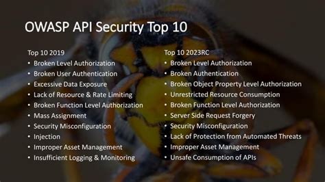 Apisecure 2023 Understanding And Identifying Threats Against Apis Shannon Wilkinson Ppt