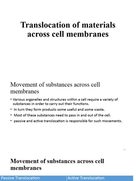 3 Translocation Of Substances Across Cell Membranes 4 Pdf Cell Membrane Diffusion