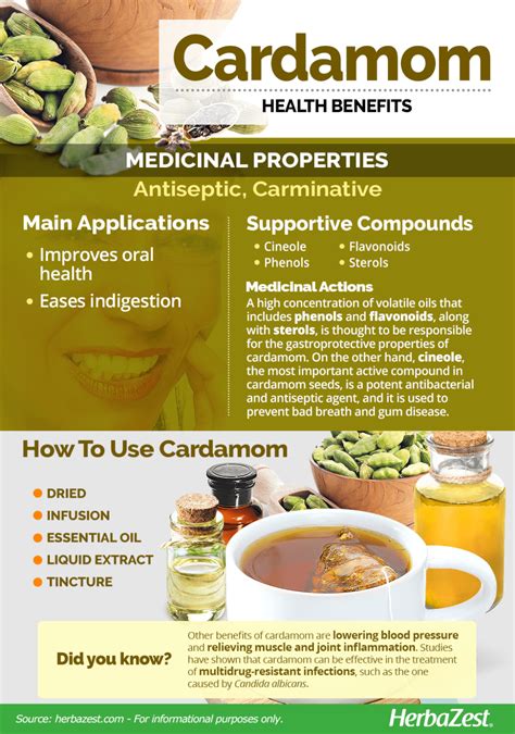 Cardamom Health Benefits And Uses