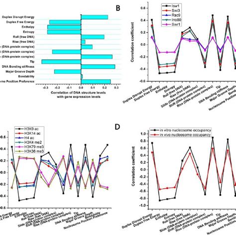 The Correlation Of DNA Structural Levels In Coding Regions With Download Scientific Diagram