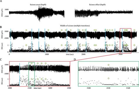 Figures And Data In A Taxonomy Of Seizure Dynamotypes Elife