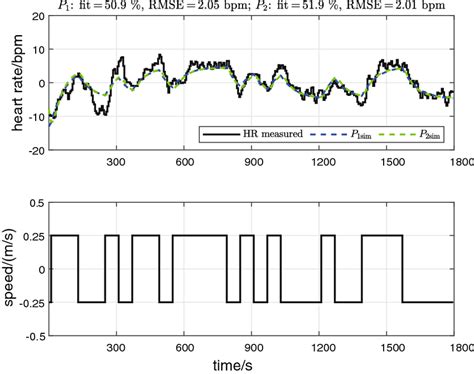 Data Preprocessing And Model Validation Exemplary Data For Participant