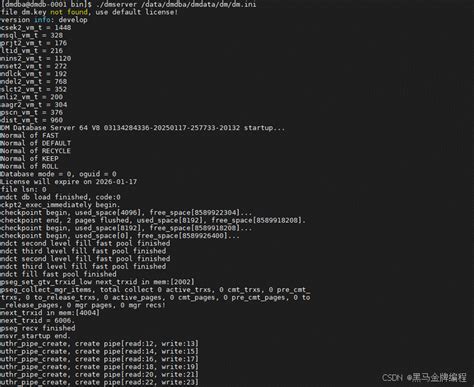 基于银河麒麟系统arm架构安装达梦数据库并配置主从模式达梦数据库主从实时复制 Csdn博客
