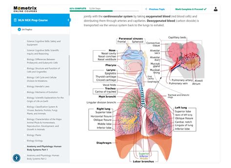 Nln Nex Prep Course 1100 Practice Questions Mometrix