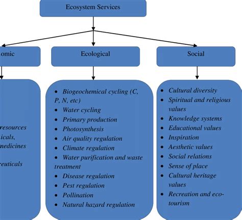 Classification Of Ecosystem Services Adapted From The Millennium