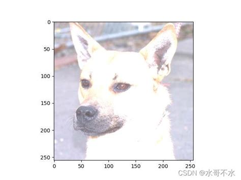 tensorflow tensorflow中的图片数据增强的函数api说明 random hue csdn博客