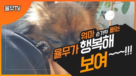 엄마 손가락 빠는 율무는 행복해 보여 YouTube