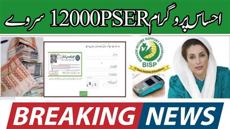 Unlock Support With Ehsaas Program 12000 Pser Survey And 8171 Scheme