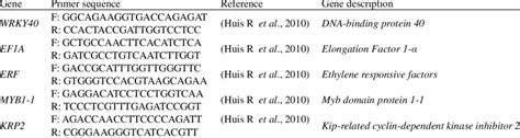 Primer Sequences And Description Of Genes Download Scientific Diagram