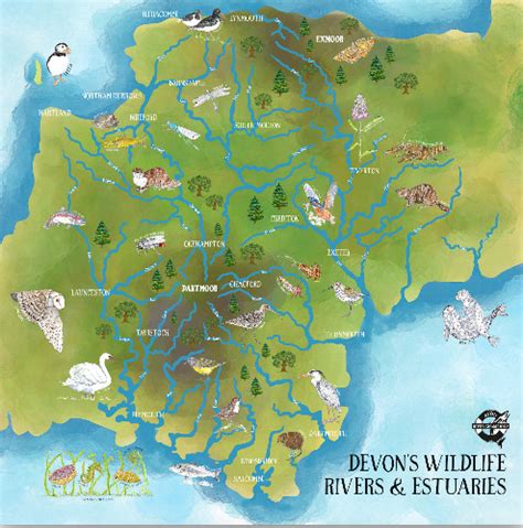 Devon Rivers Manifestocta Avon River Champions