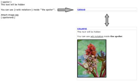 Plugin Spoiler Hiding Part Of The Text On The Page